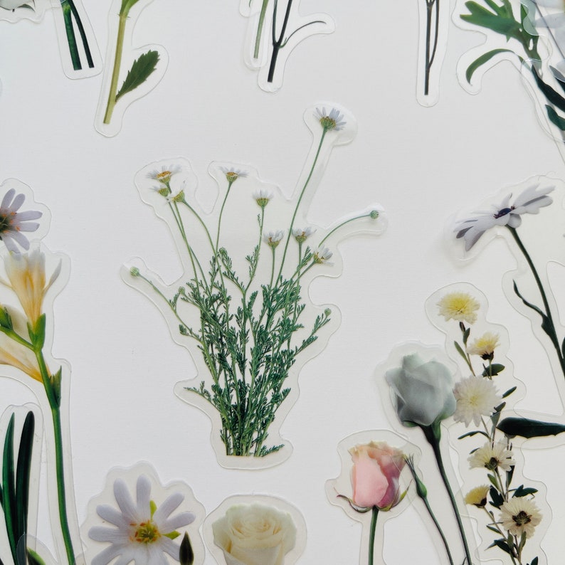 20 Vinyl Transparent White Flower Sticker Pack, Waterproof Reusable Set ...