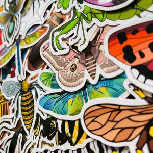25/50 Vinyl Insect Stickers, Die Cut Decal Set, Waterproof Reusable ...