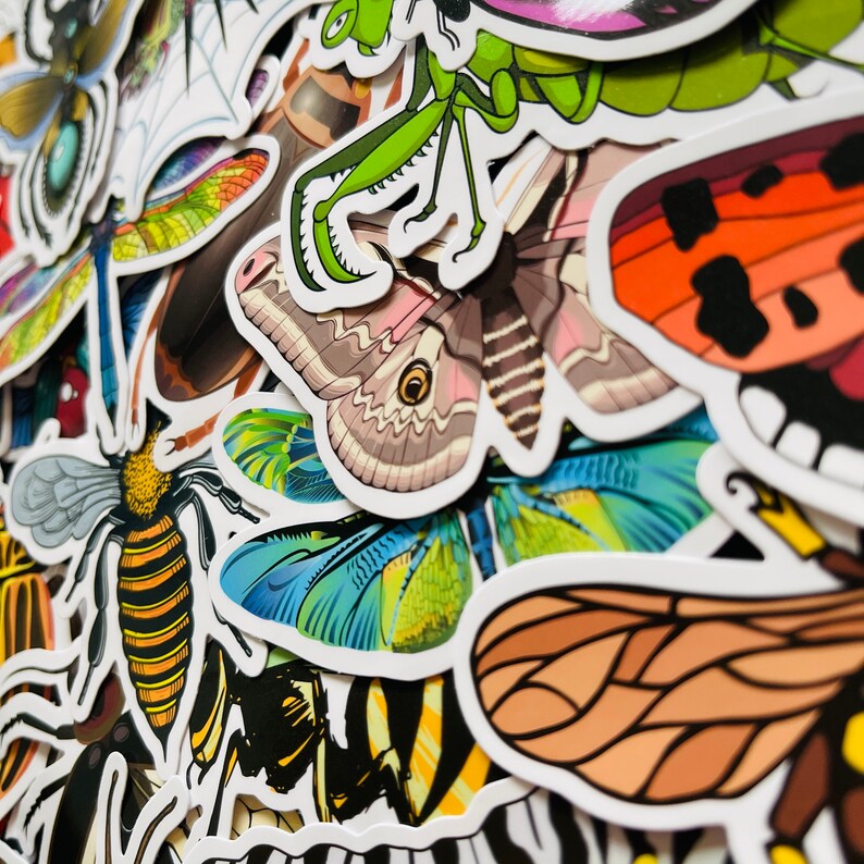 25/50 Vinyl Insect Stickers Die Cut Decal Set Waterproof - Etsy