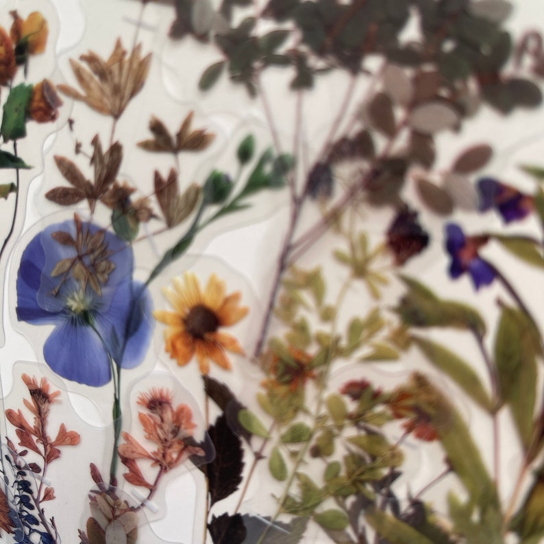 20 Vinyl Transparent Wildflower Sticker Pack Waterproof - Etsy