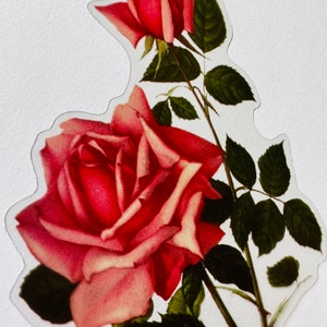 11 Vinyl Transparent Rose Sticker Pack, Waterproof Reusable, Clear ...