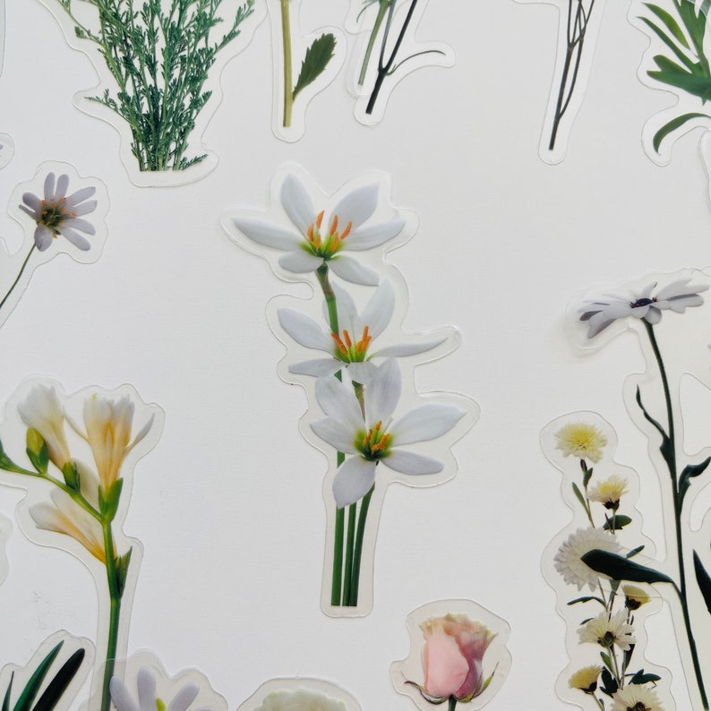 20 Vinyl Transparent White Flower Sticker Pack, Waterproof Reusable Set ...