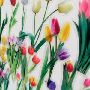 20 Vinyl Transparent Tulip Sticker Pack, Waterproof Reusable Set, Clear ...