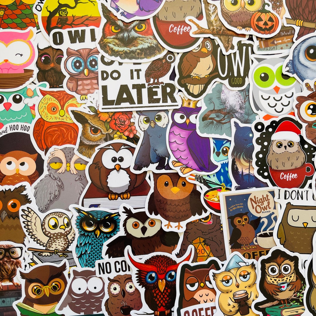 25/50 Vinyl Owl Stickers, Die Cut Decal Set, Waterproof Reusable, Fun ...