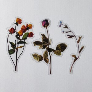 20 Vinyl Transparent Wildflower Sticker Pack, Waterproof Reusable Set ...