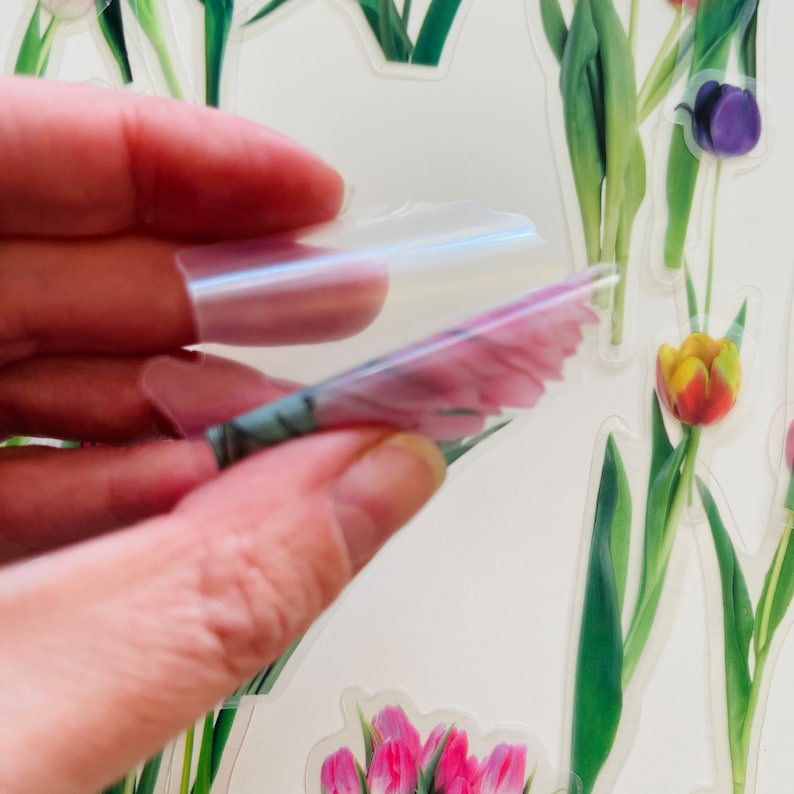 20 Vinyl Transparent Tulip Sticker Pack Waterproof Reusable - Etsy
