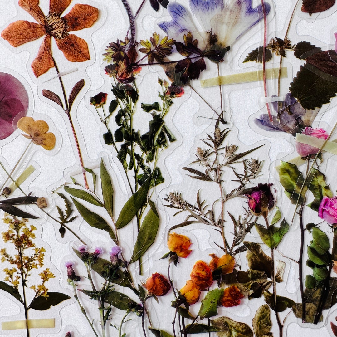 20 Vinyl Transparent Wildflower Sticker Pack, Waterproof Reusable Set ...