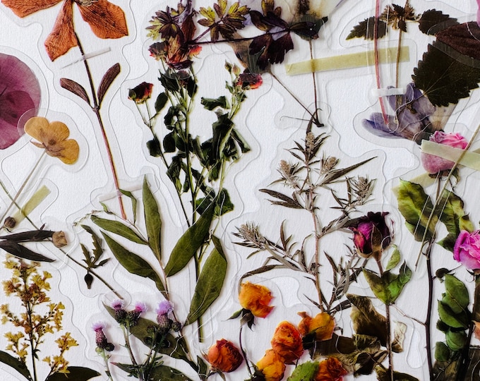 20 Vinyl Transparent Wildflower Sticker Pack, Waterproof Reusable Set ...