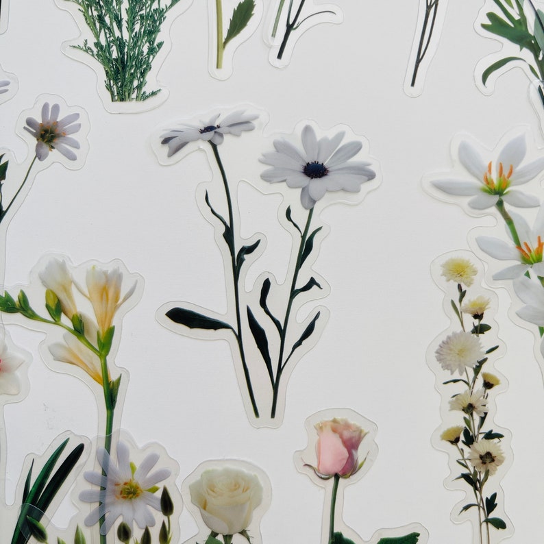 20 Vinyl Transparent White Flower Sticker Pack, Waterproof Reusable Set ...