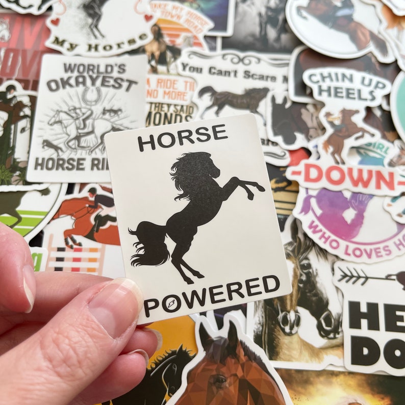 25/50/100 Horse Theme Vinyl Stickers Die Cut Decal Set | Etsy
