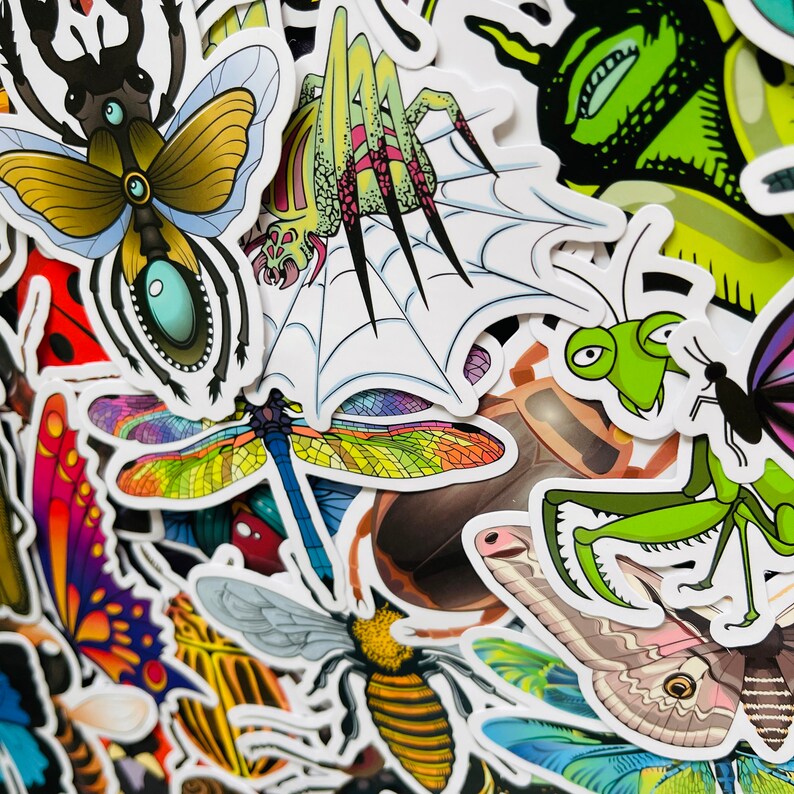 25/50 Vinyl Insect Stickers Die Cut Decal Set Waterproof - Etsy