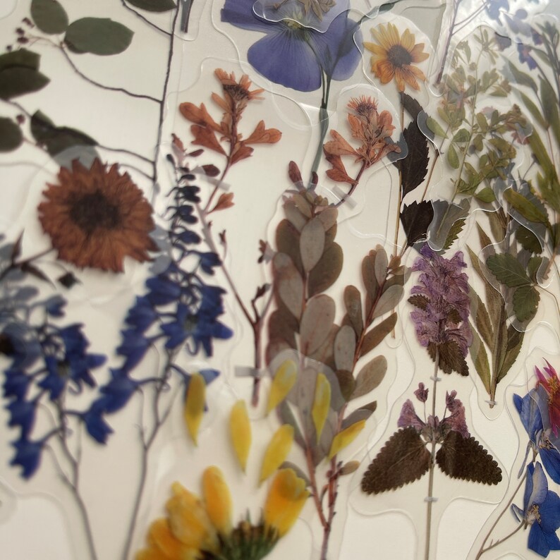 20 Vinyl Transparent Wildflower Sticker Pack Waterproof - Etsy