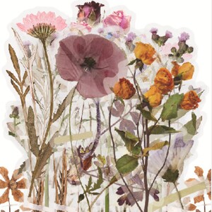 20 Vinyl Transparent Wildflower Sticker Pack, Waterproof Reusable Set ...