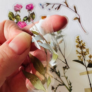20 Vinyl Transparent Wildflower Sticker Pack, Waterproof Reusable Set ...