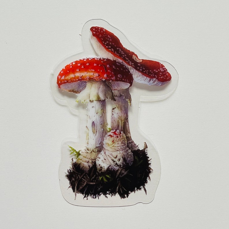 20 Vinyl Transparent Toadstool Sticker Pack Waterproof - Etsy