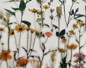 20 Vinyl Transparent Pressed Flower Sticker Pack, Waterproof Reusable ...