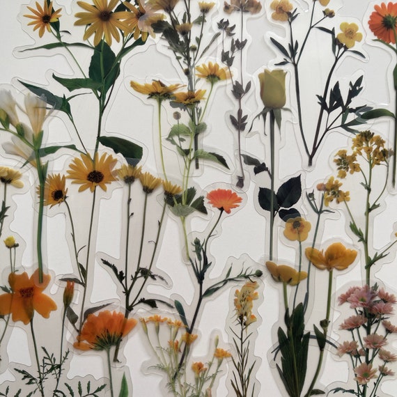 20 Vinyl Transparent Wildflower Sticker Pack Waterproof - Etsy UK