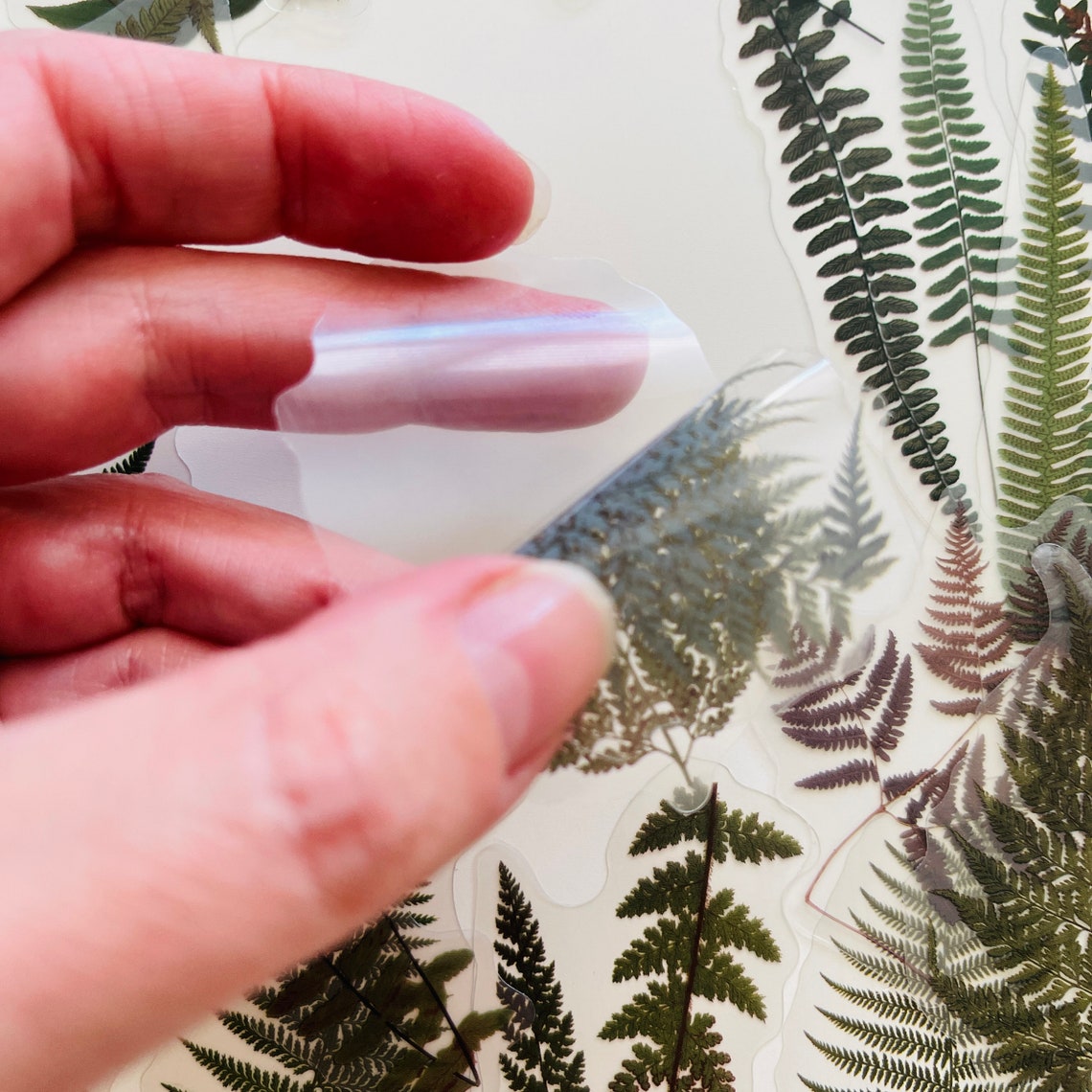 20 Vinyl Transparent Leaf Sticker Pack Waterproof Reusable - Etsy