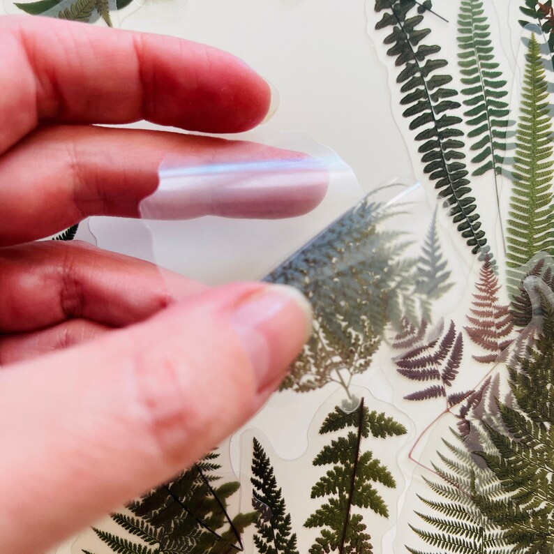 20 Vinyl Transparent Leaf Sticker Pack Waterproof Reusable - Etsy