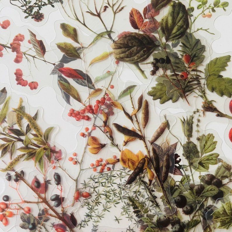 20 Vinyl Transparent Berry Sticker Pack Waterproof Reusable - Etsy