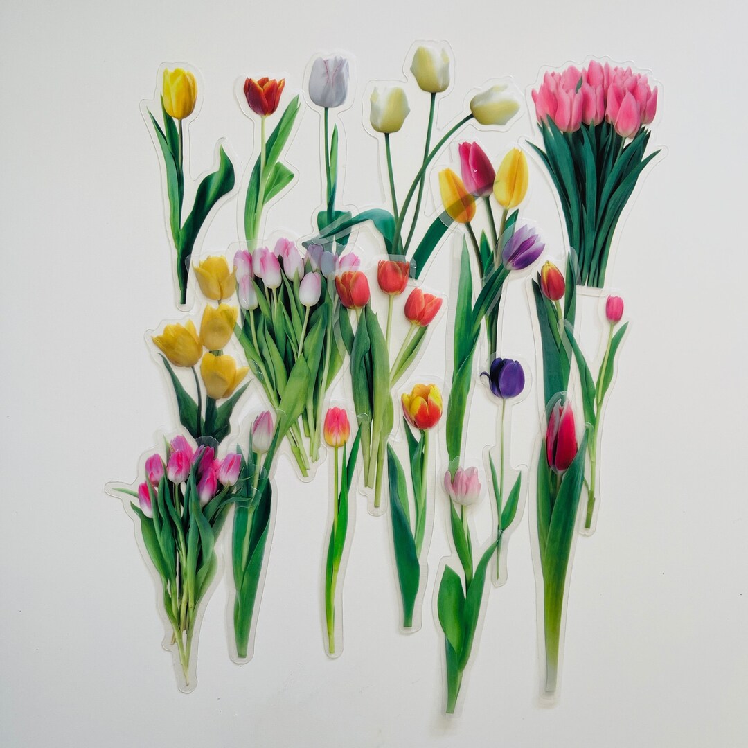 20 Vinyl Transparent Tulip Sticker Pack, Waterproof Reusable Set, Clear ...