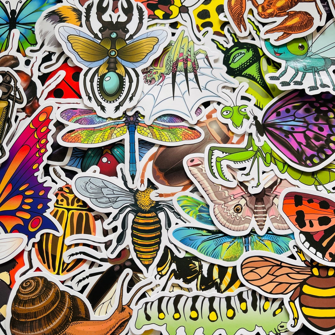 25/50 Vinyl Insect Stickers, Die Cut Decal Set, Waterproof Reusable ...