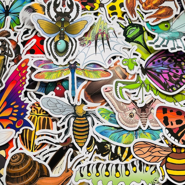 Insect Decals - Etsy