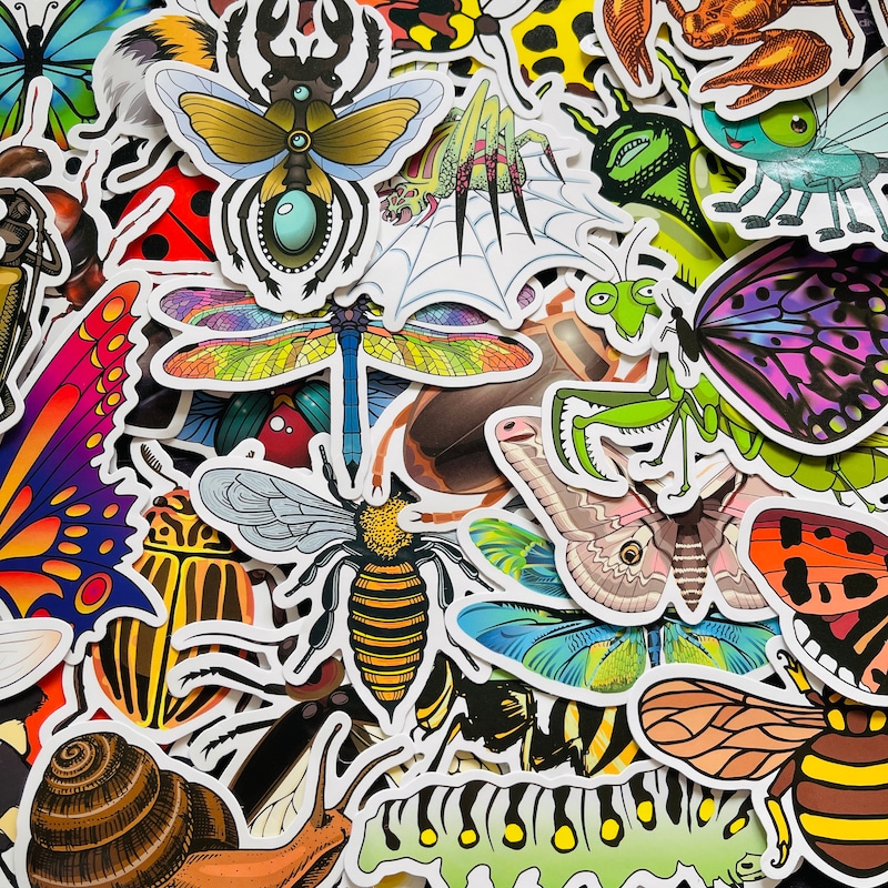 Insect Decals - Etsy