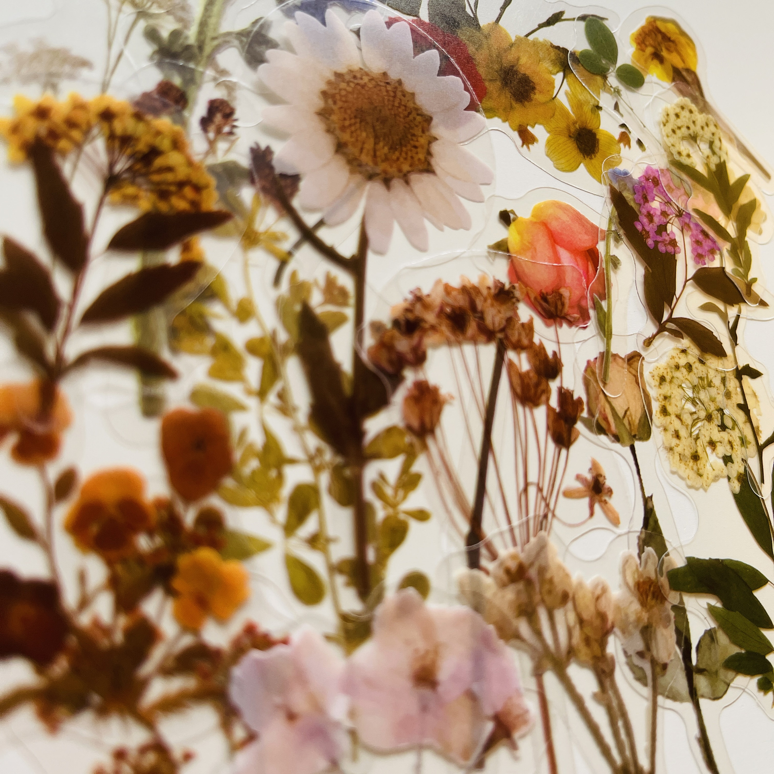 20 Vinyl Transparent Wildflower Sticker Pack Waterproof - Etsy