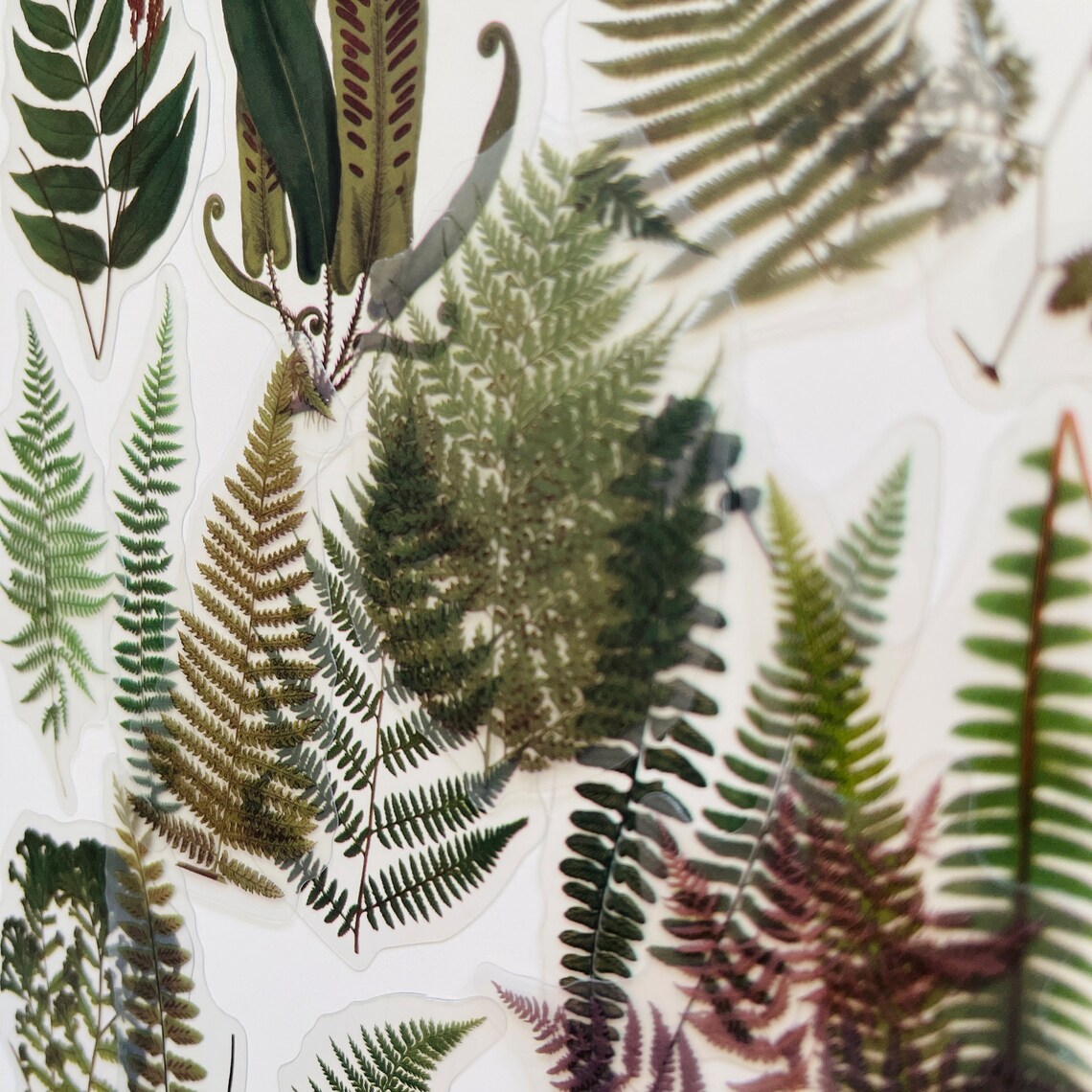 20 Vinyl Transparent Leaf Sticker Pack | Waterproof Reusable Set ...