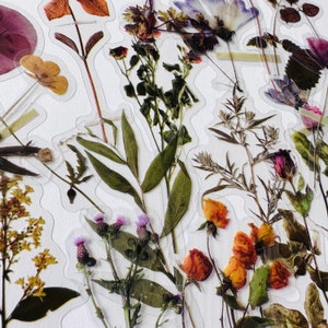 20 Vinyl Transparent Wildflower Sticker Pack, Waterproof Reusable Set ...