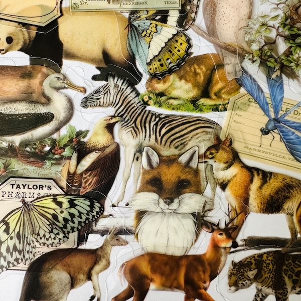 Wild Cat Sticker - Etsy