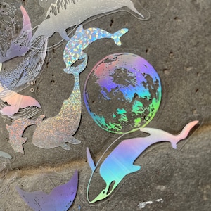 20 Vinyl Holographic Marine Sticker Pack, Waterproof Reusable Set ...