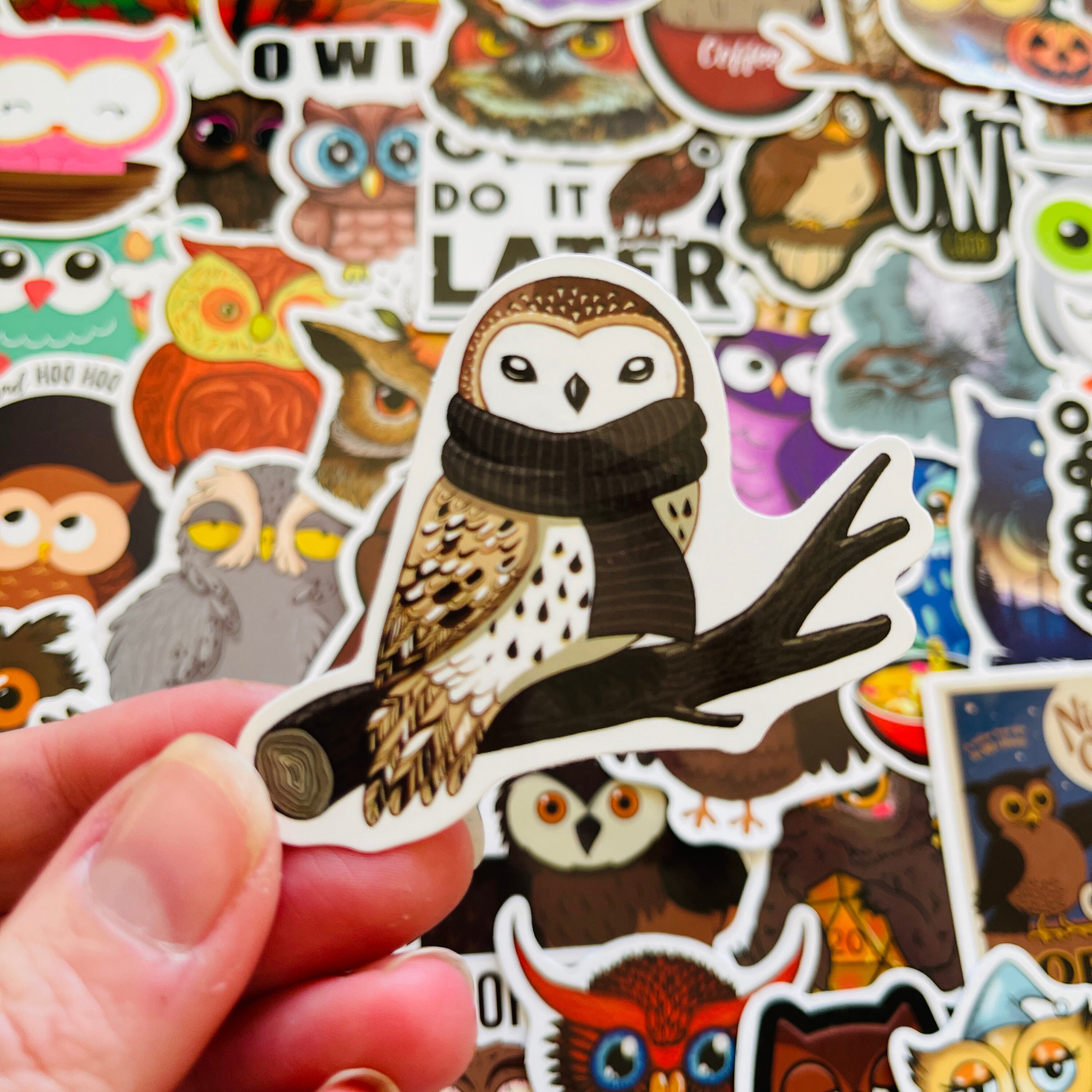 25/50 Vinyl Owl Stickers Die Cut Decal Set Waterproof - Etsy
