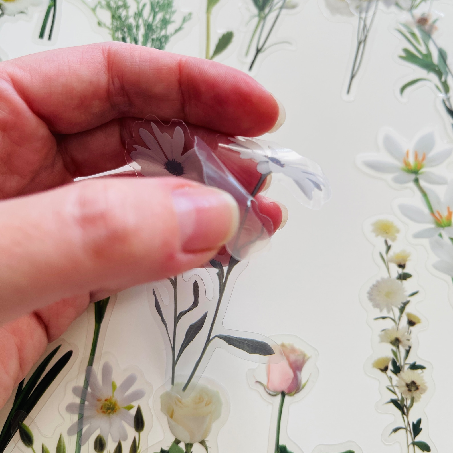20 Vinyl Transparent White Flower Sticker Pack, Waterproof Reusable Set ...