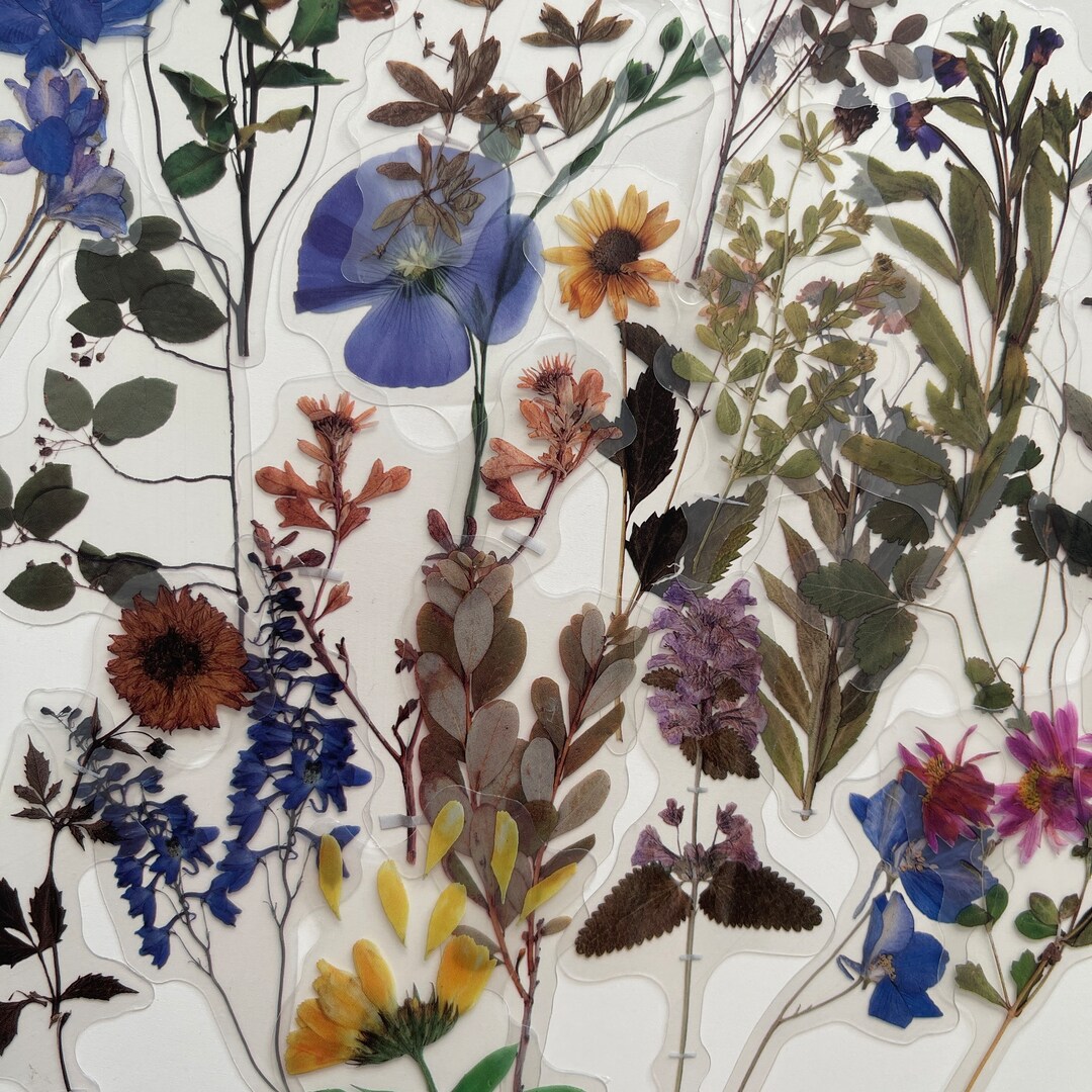20 Vinyl Transparent Wildflower Sticker Pack, Waterproof Reusable Set ...