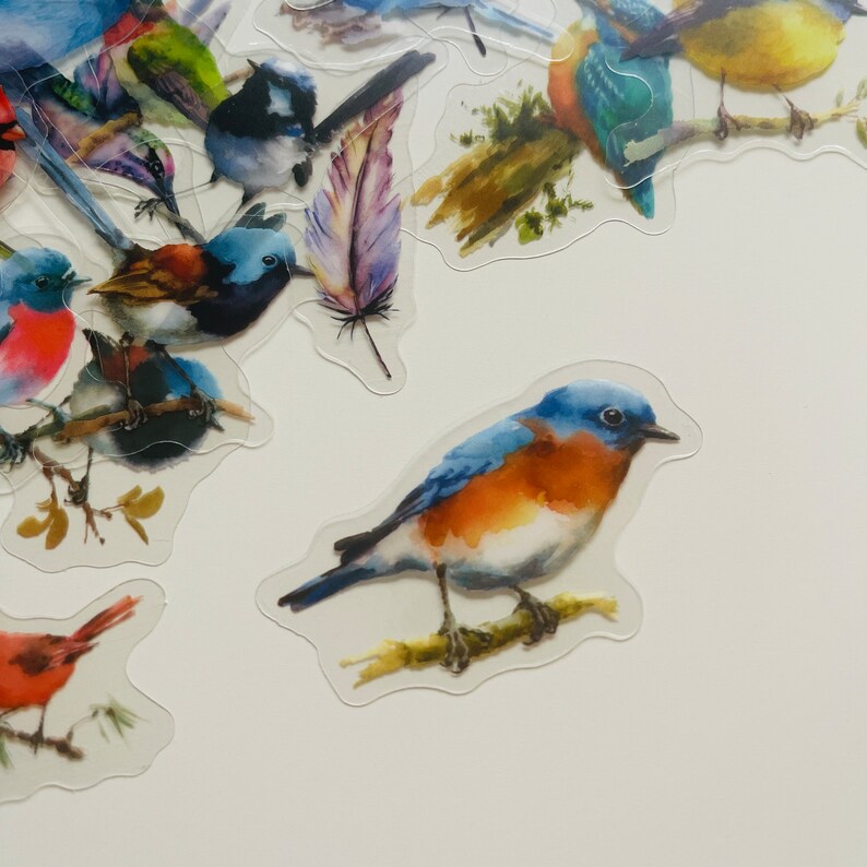 20 Vinyl Transparent Bird Sticker Pack Waterproof Reusable - Etsy