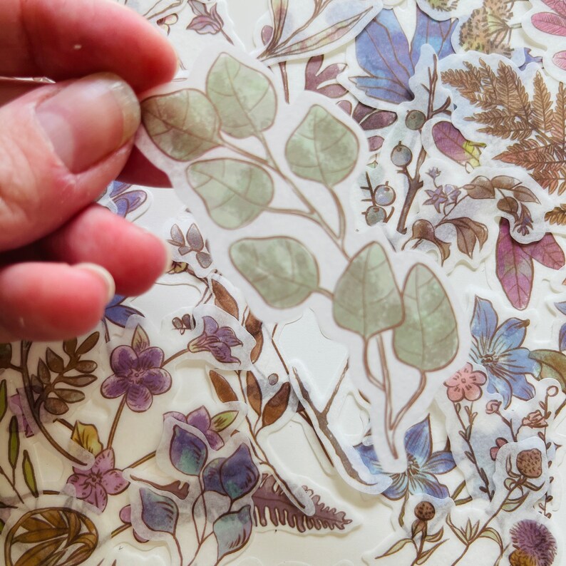 30 Opaque Flower Stem Sticker Pack, Vintage Wildflowers Floral Florist ...