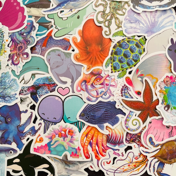 25/50 Vinyl Marine Life Stickers Die Cut Decal Set - Etsy UK