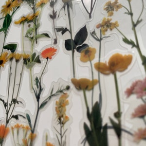 20 Vinyl Transparent Wildflower Sticker Pack, Waterproof Reusable Set ...