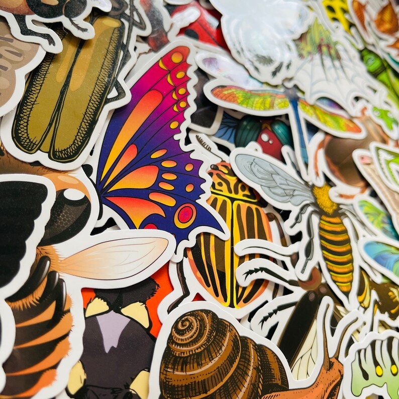 25/50 Vinyl Insect Stickers Die Cut Decal Set Waterproof - Etsy