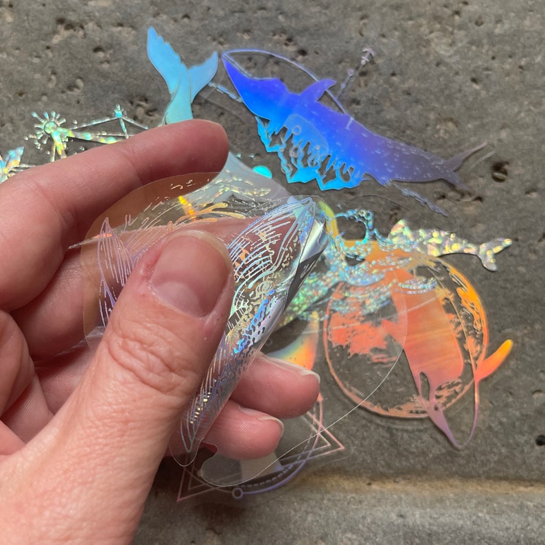 20 Vinyl Holographic Marine Sticker Pack, Waterproof Reusable Set ...