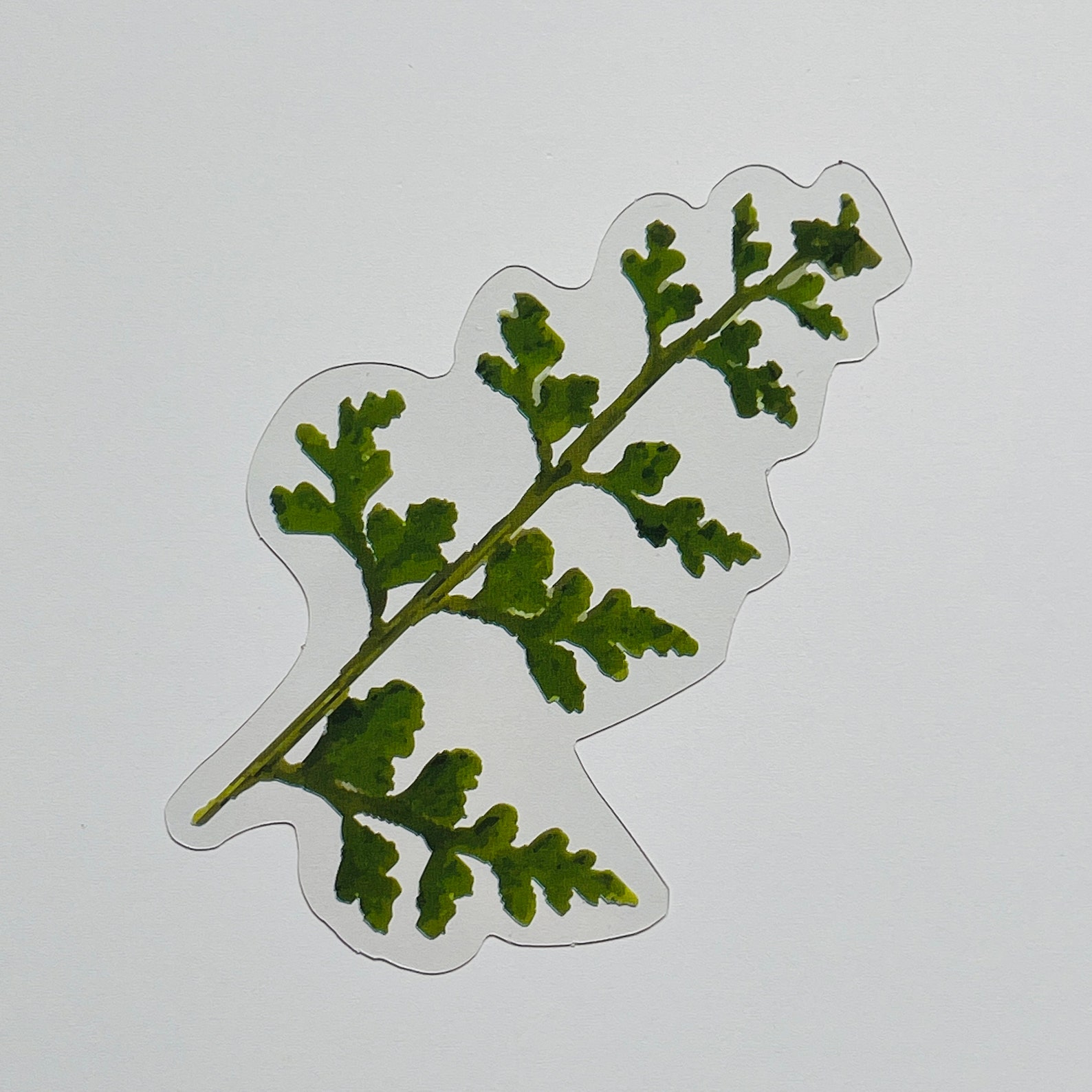 20 Vinyl Transparent Leaf Sticker Pack Waterproof Reusable | Etsy