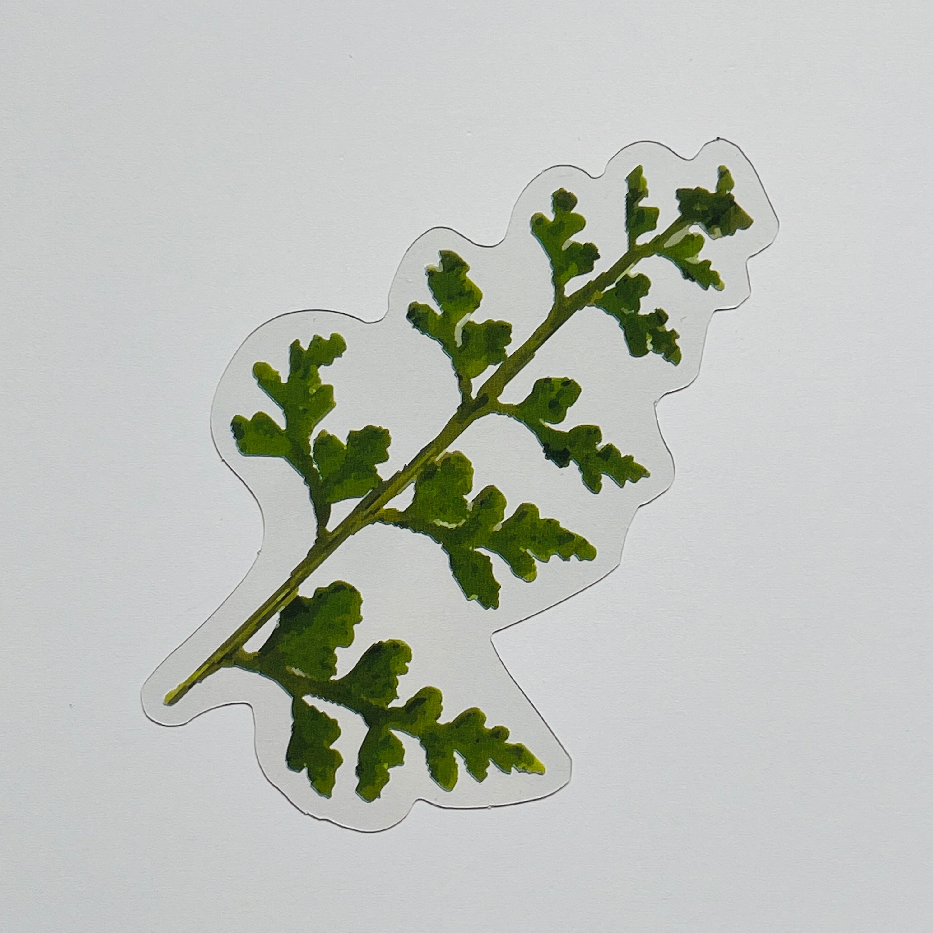 20 Vinyl Transparent Leaf Sticker Pack Waterproof Reusable - Etsy UK