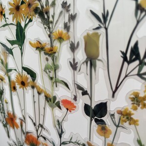 20 Vinyl Transparent Wildflower Sticker Pack, Waterproof Reusable Set ...