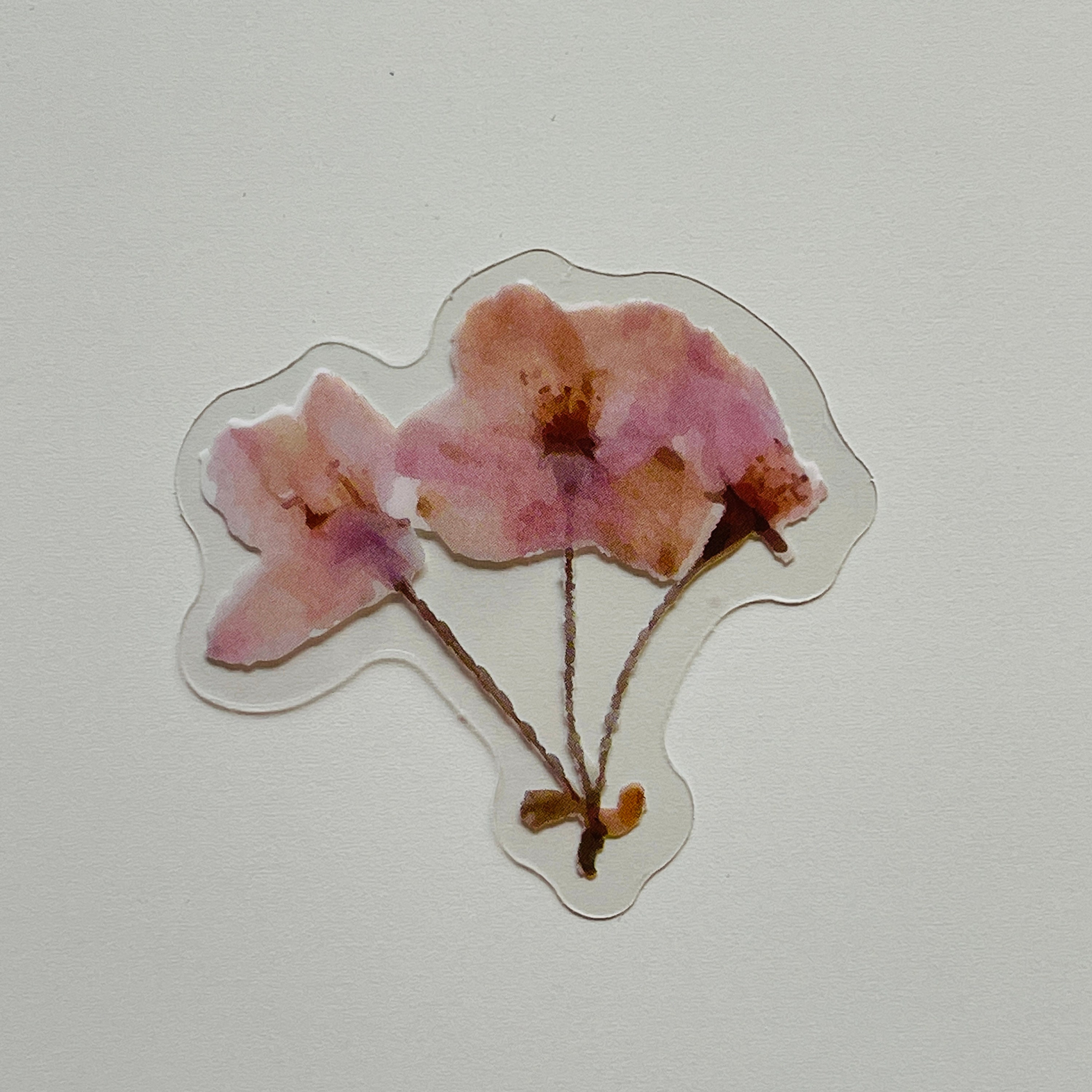 20 Vinyl Transparent Wildflower Sticker Pack Waterproof - Etsy