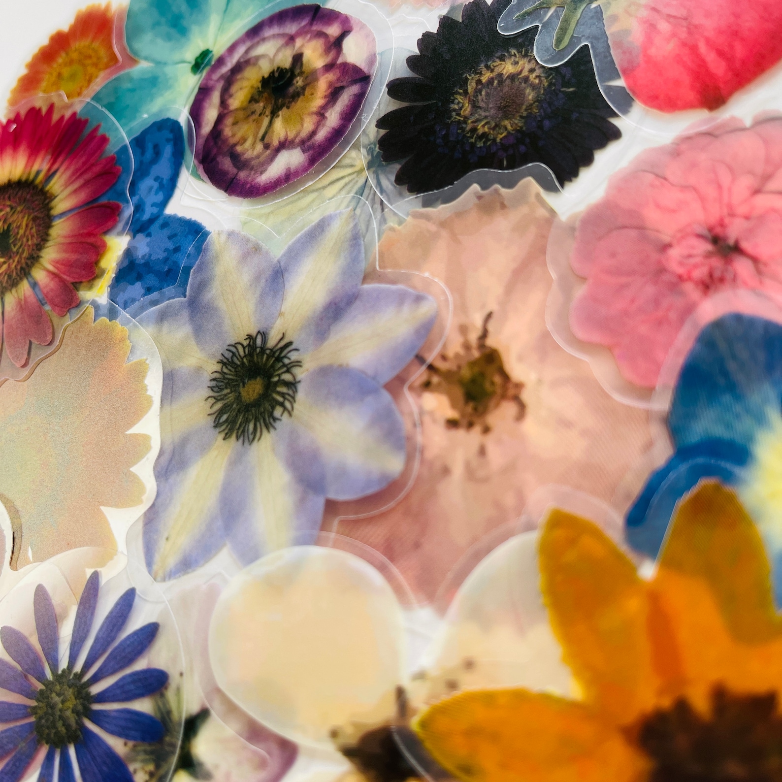 20 Vinyl Transparent Pressed Flower Sticker Pack, Waterproof Reusable ...