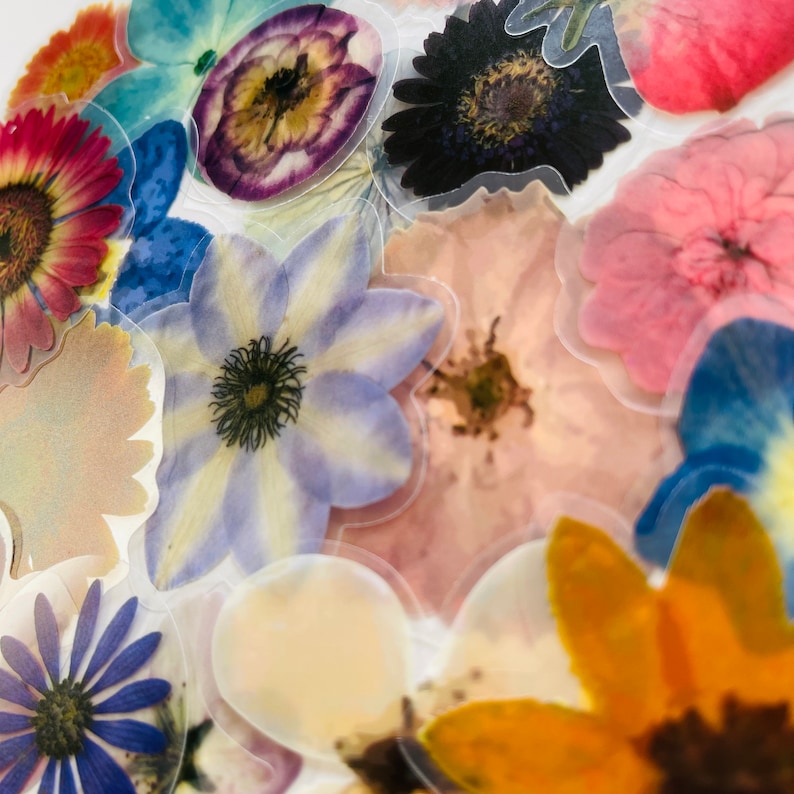 20 Vinyl Transparent Pressed Flower Sticker Pack, Waterproof Reusable ...