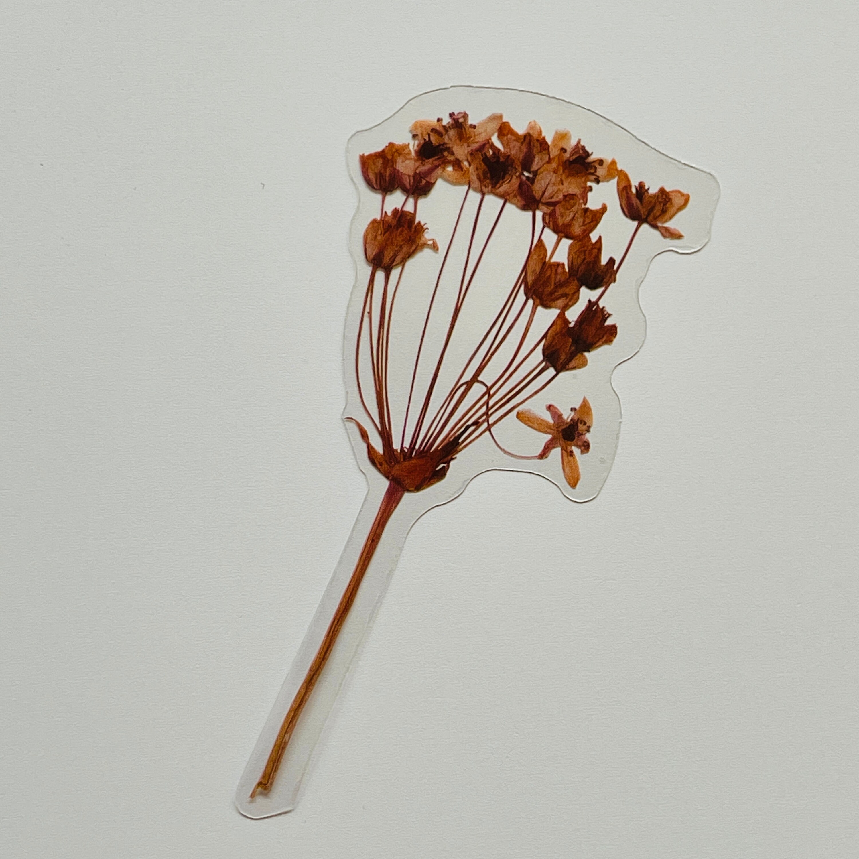 20 Vinyl Transparent Wildflower Sticker Pack Waterproof - Etsy