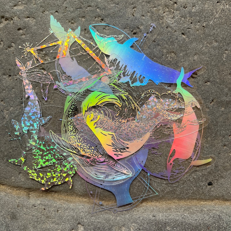 20 Vinyl Holographic Marine Sticker Pack, Waterproof Reusable Set ...